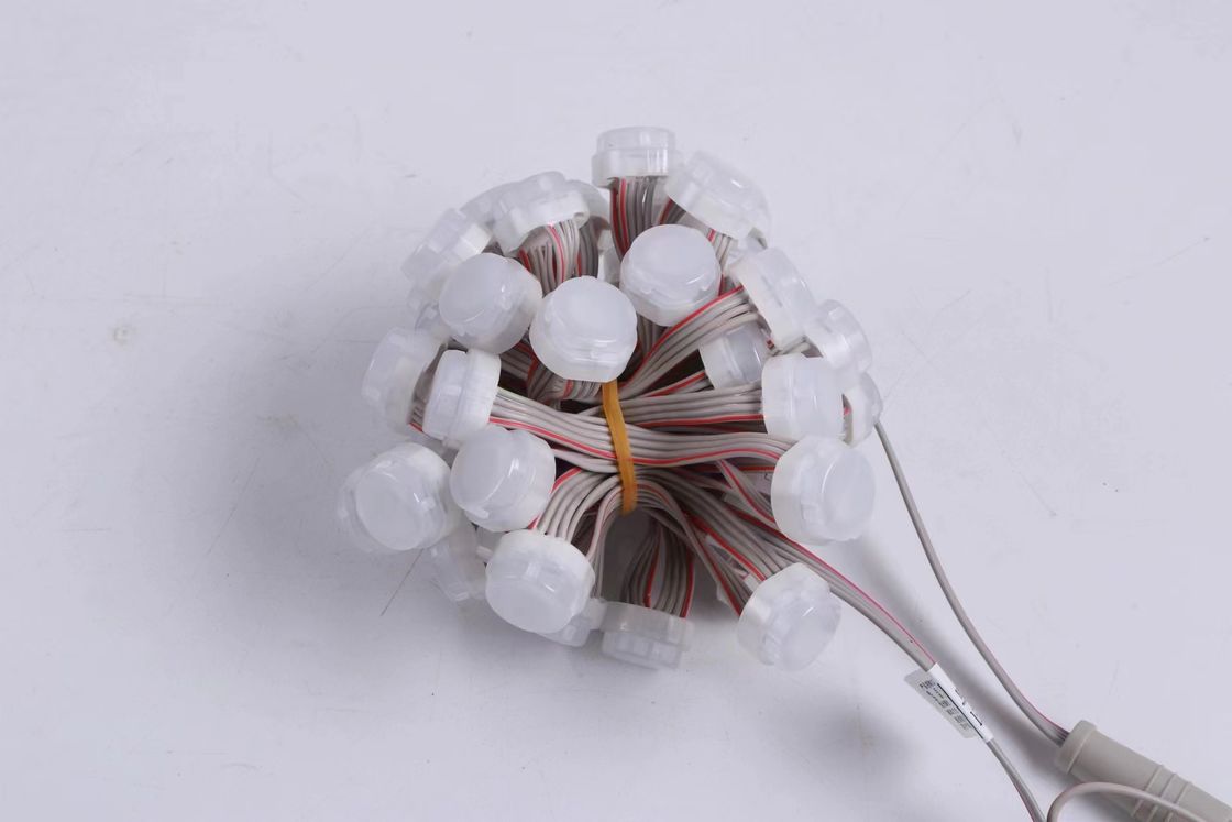 IP67 23mm LED Point Light with RGB Color for Outdoor Environments