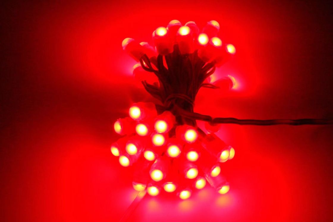 Permanent Exterior Holiday Decoration Lights Rgbic DC5V Jellyfish ...