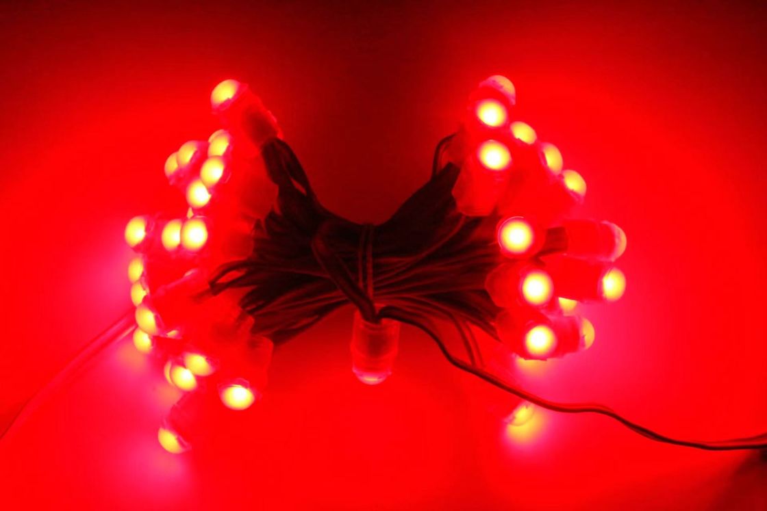 Permanent Exterior Holiday Decoration Lights Rgbic DC5V Jellyfish ...