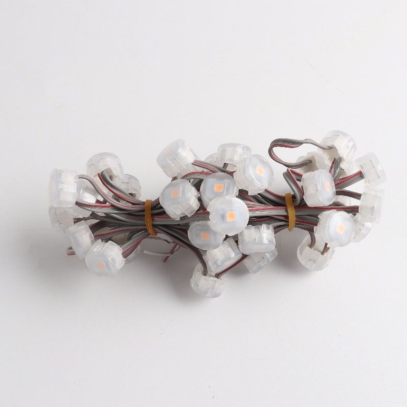 Outdoor LED Point Light for Christmas Decoration High Brightness 0.3W ...