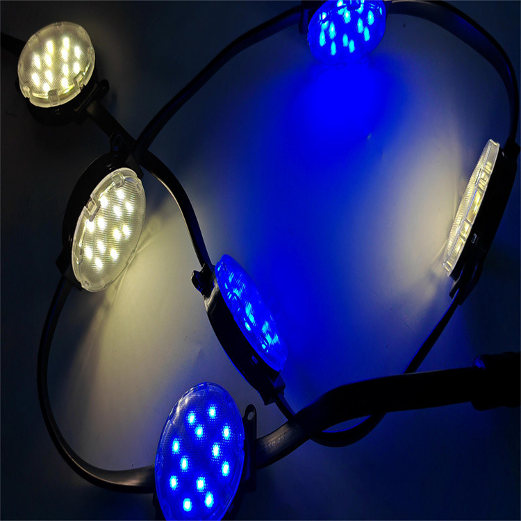 Outdoor Waterproof LED Pixel Point Lighting with 50mm Diameter and PC ...
